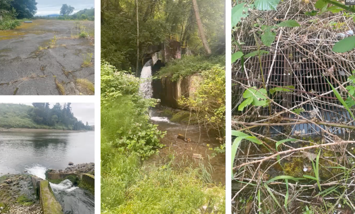 Garrison Springs Restoration Project