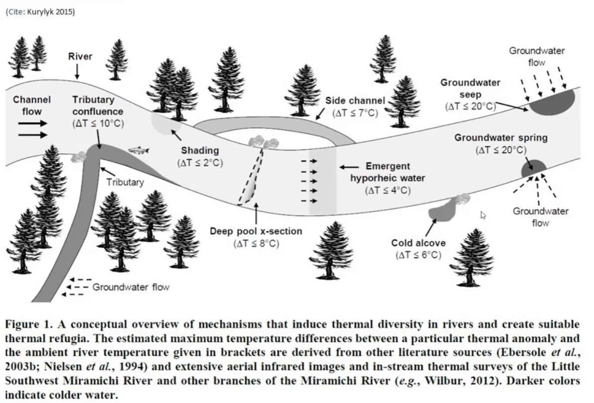 Alternative Solutions for Temperature Impaired Streams in Puget Sound ...