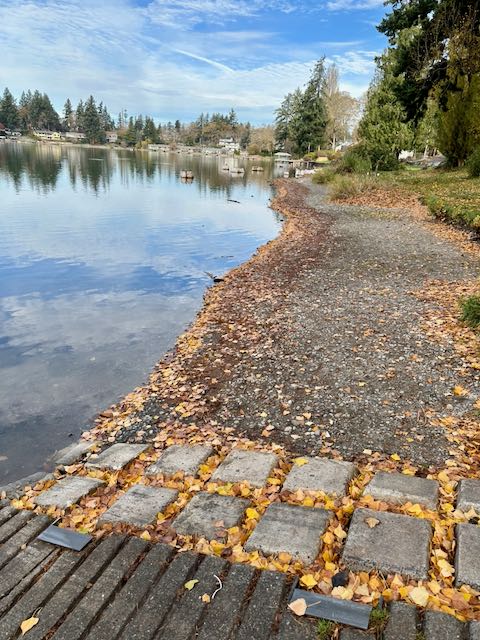 Urbanization and Healthy Lakes: What can you do?